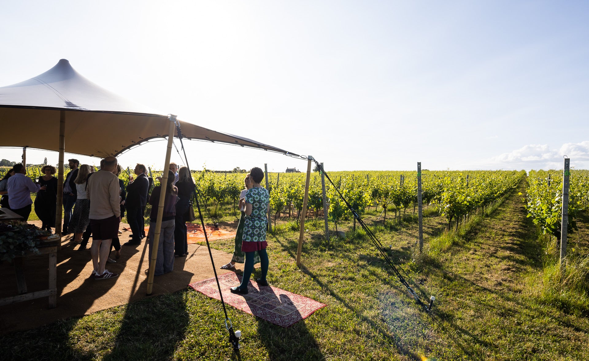 Minerva Vineyard Tour & Vine Dining Experience (Saturday, 19th October)